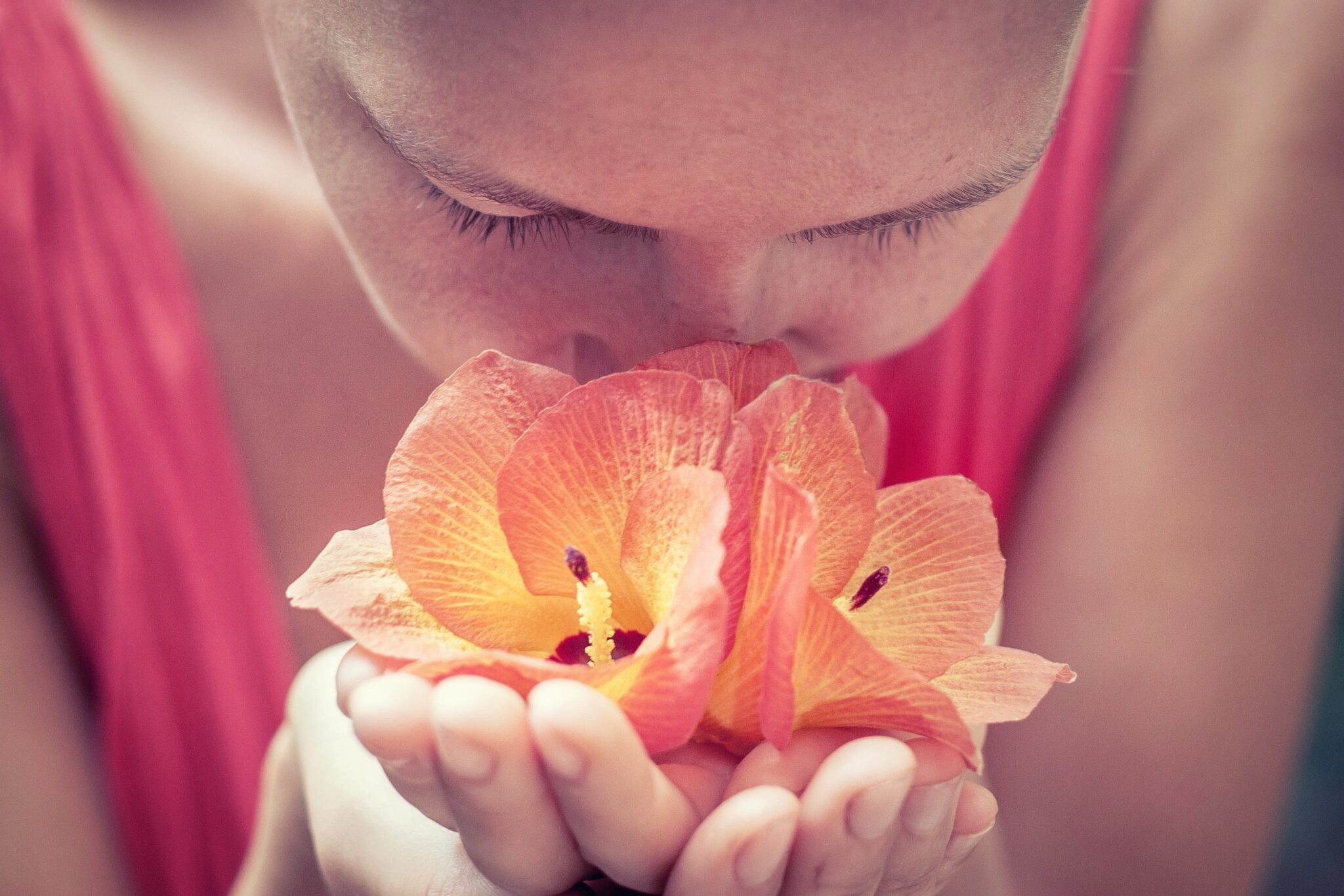 Ol Factory Training – Ol Factory Training – Your Smell Training Guide